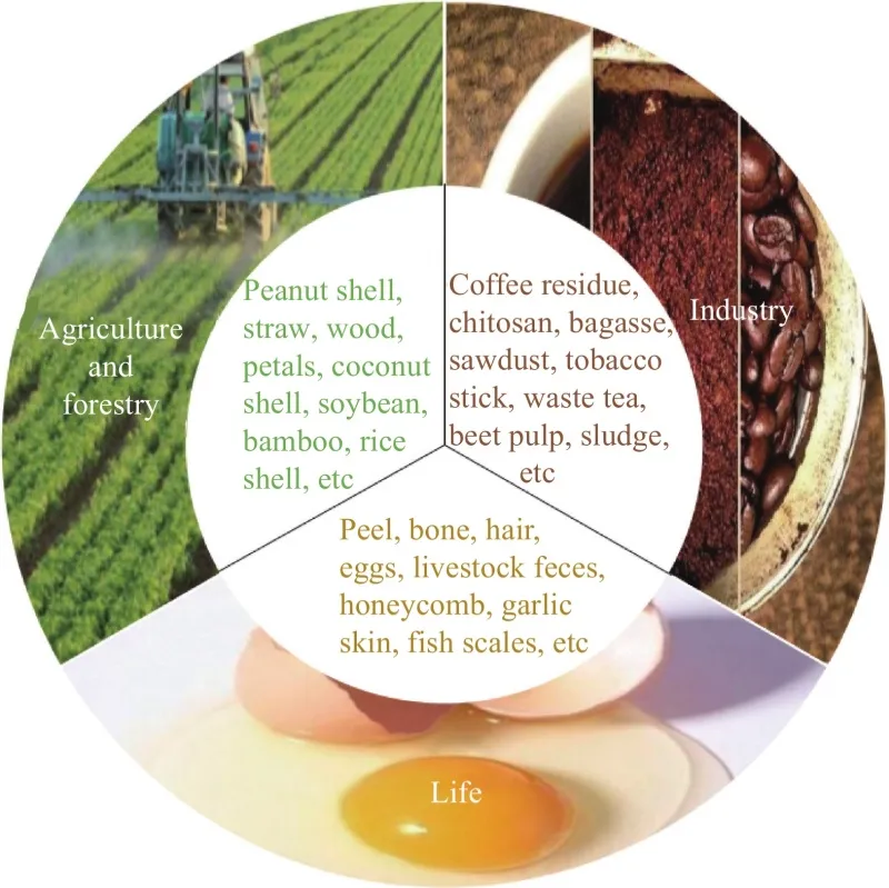 Why are Biomass Hard Carbon Precursors Important in Sodium-ion Battery ...